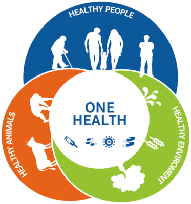 HIOH wird neuer Geschäftsstellenstandort der bundesweiten One Health ...