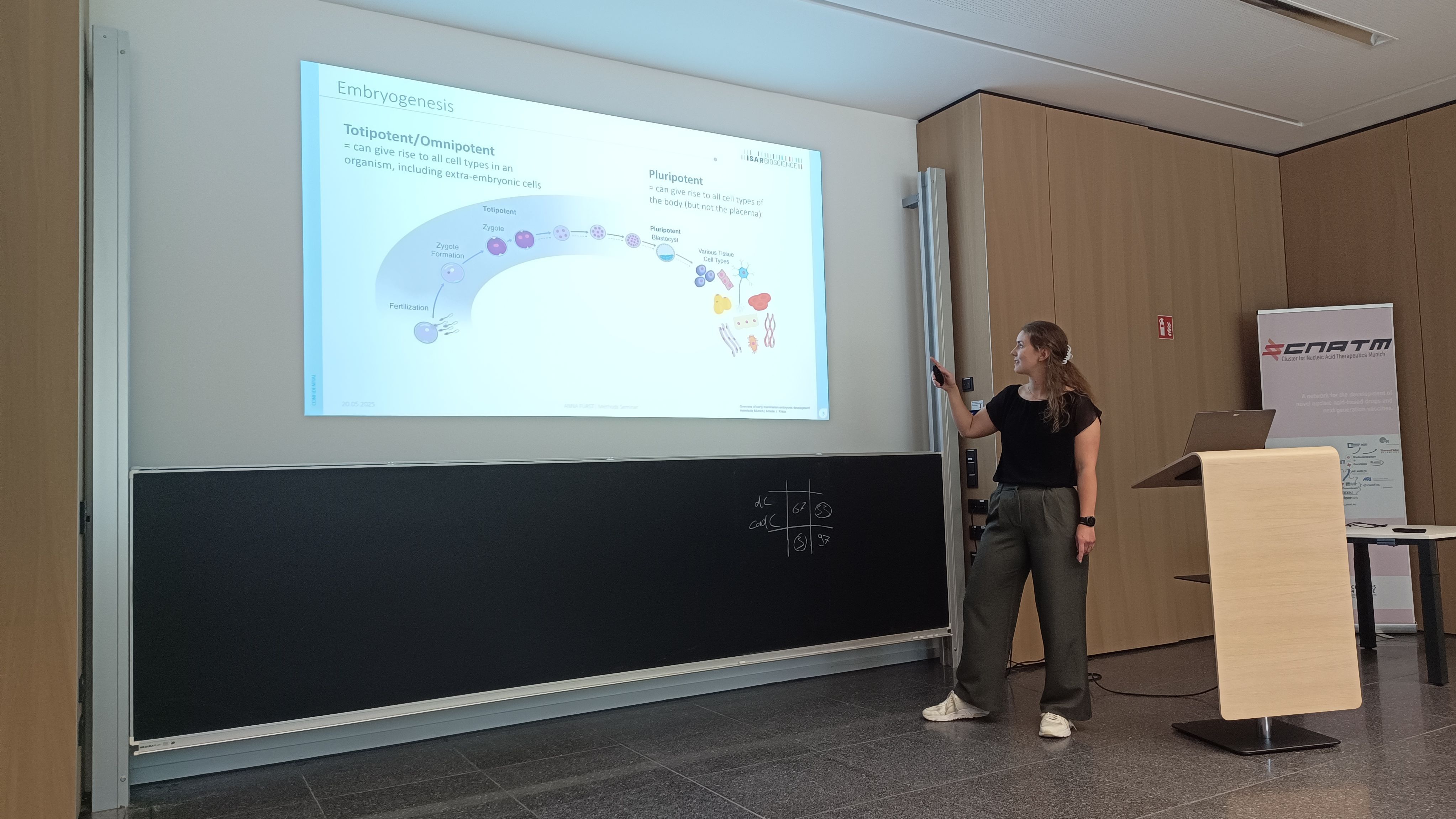 RNA, Erkennung, Rezeptoren, Ribosomen | HELMHOLTZ HIRI