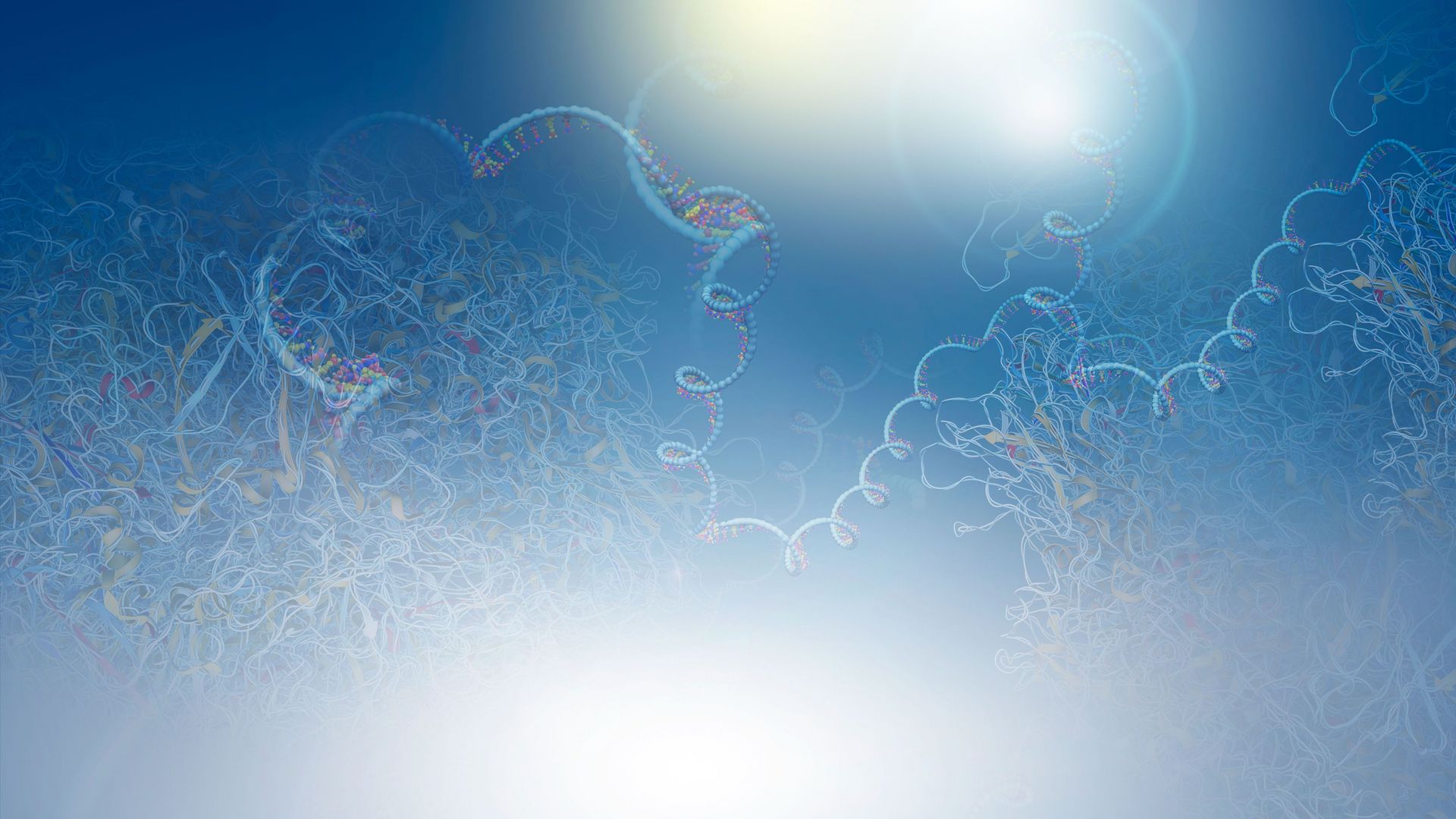 Teams | HELMHOLTZ HIRI