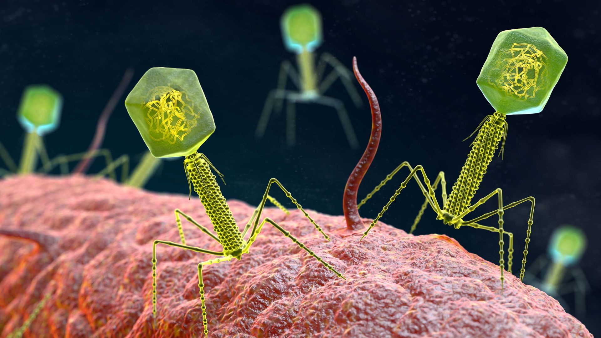 Antimicrobial agents of the future | HELMHOLTZ HIRI