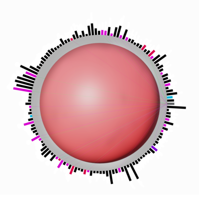 Making sense of the data jungle | HELMHOLTZ HIRI