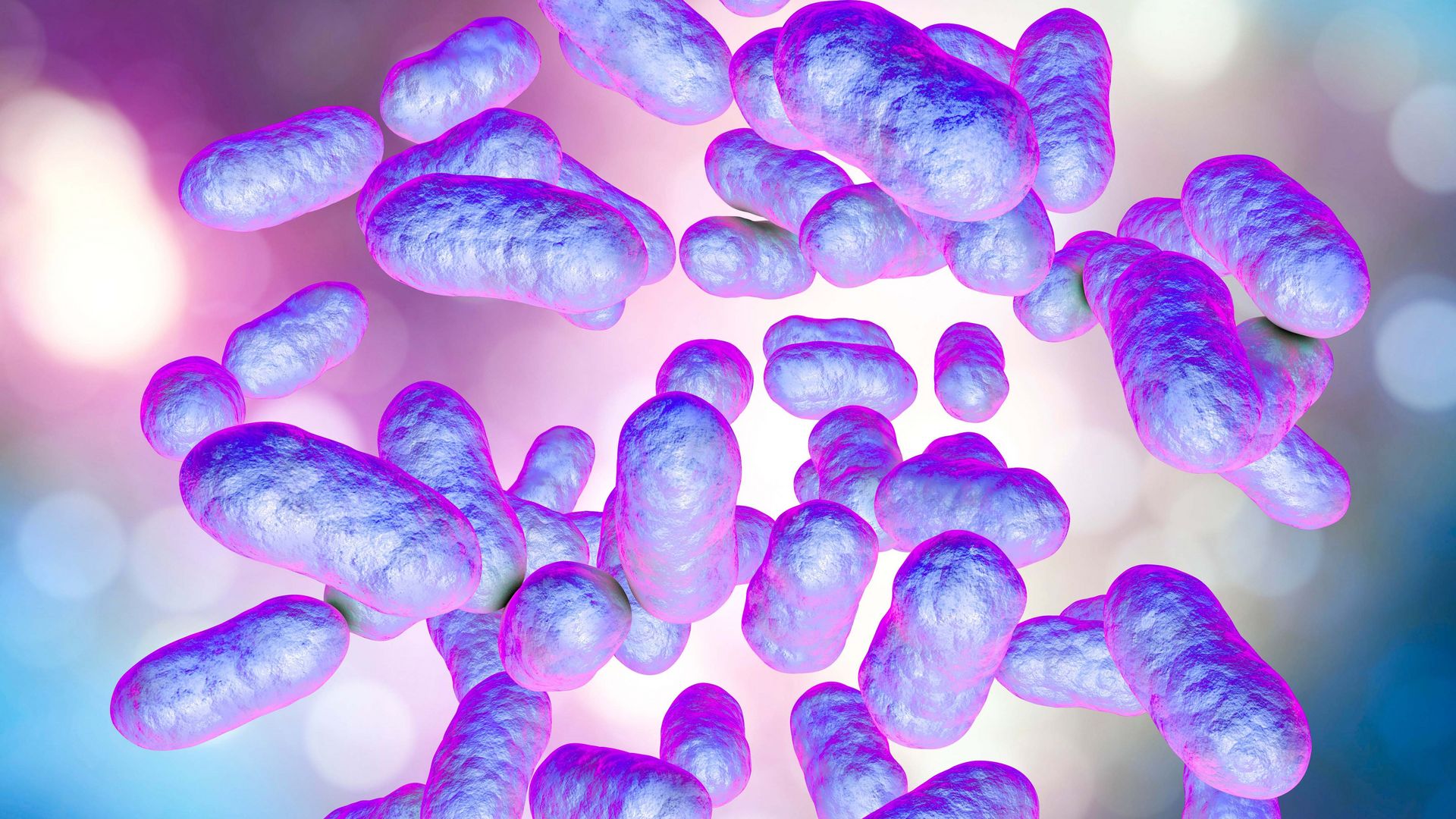 RNA-based Infection Research | HIRI - Helmholtz Institute Würzburg ...